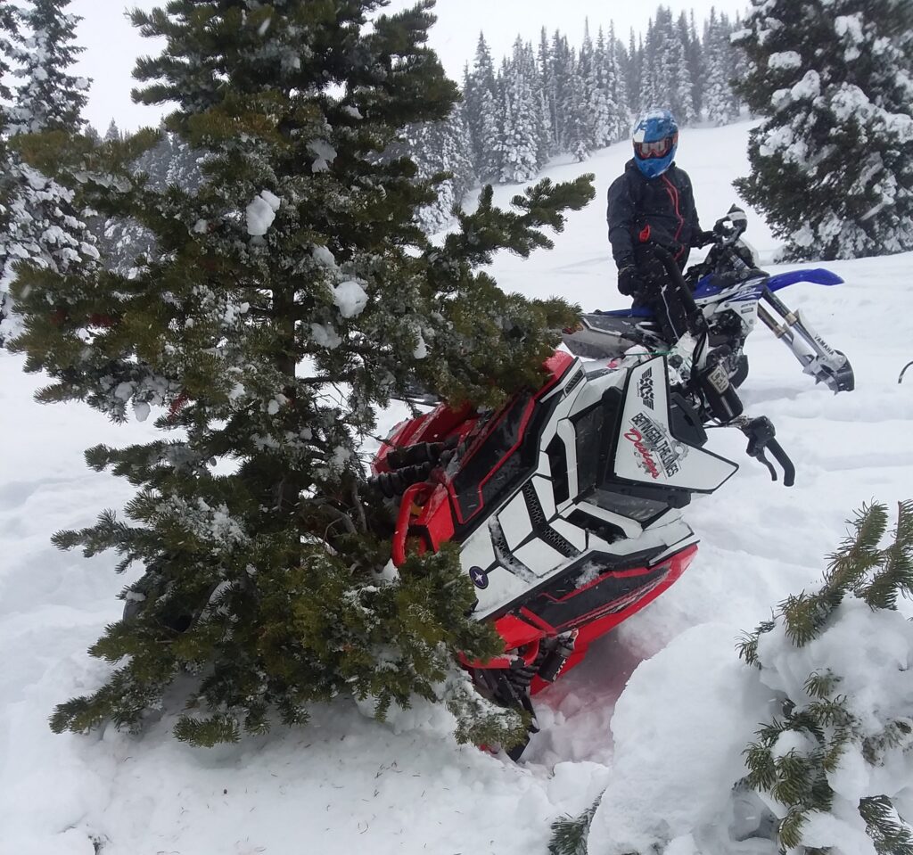 Social Media - Between the Lines Designs